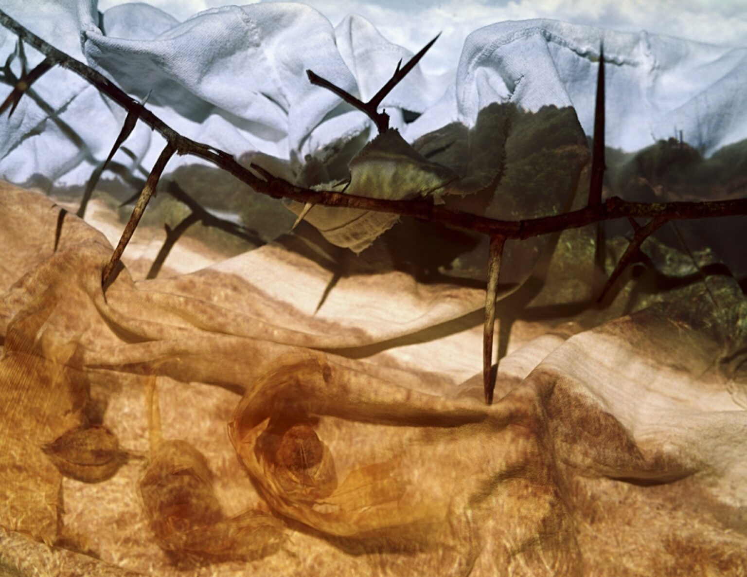 Essays – Stephanie Elizondo Griest